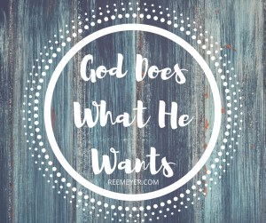 God does what He wants {Psalm 115} – Renee Davis Meyer