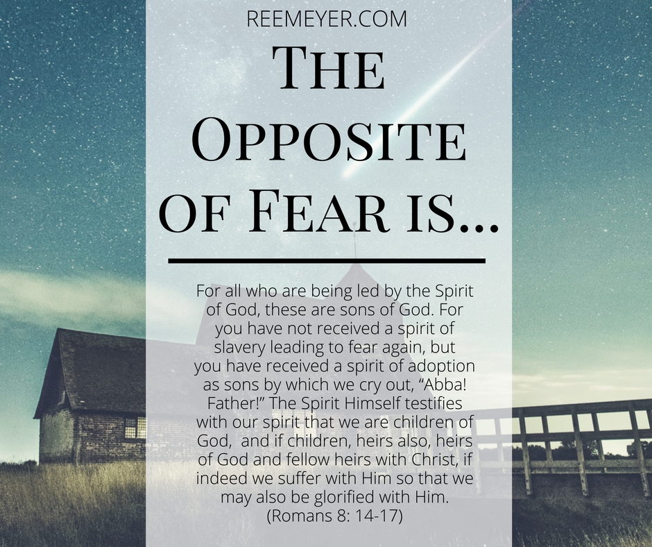 The Opposite of Fear is… – Renee Davis Meyer